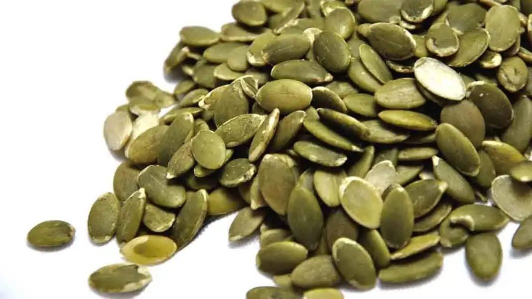 Pumpkin Seeds Nutrition Data Health Benefits LazyPlant pumpkin-seeds-nutrition-data-health-benefits-lazyplant