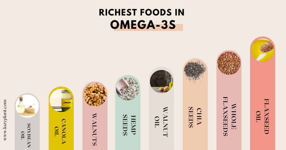 Top-10 vegan foods rich in omega-3s! - LazyPlant