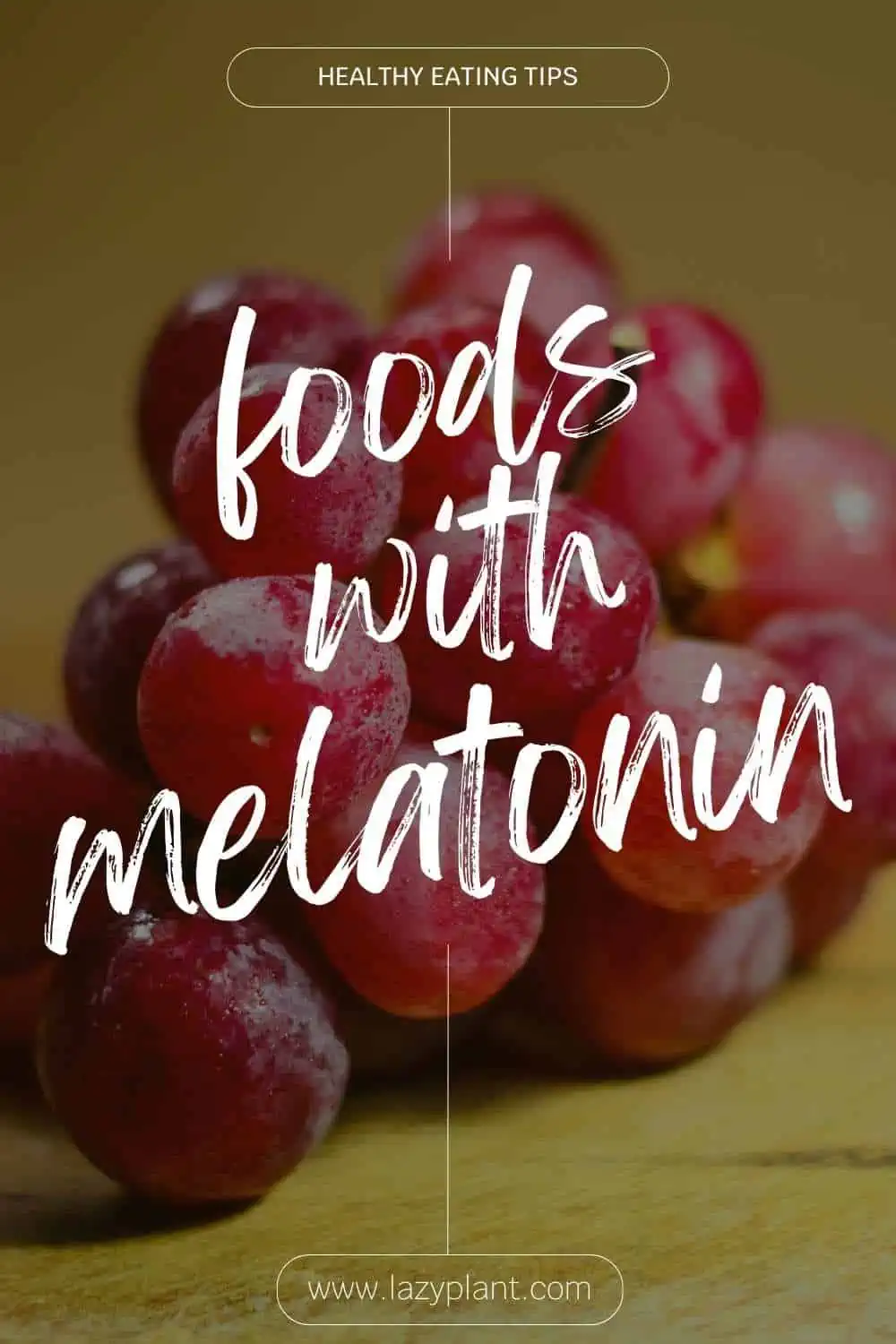 A list of foods high in melatonin. - LazyPlant