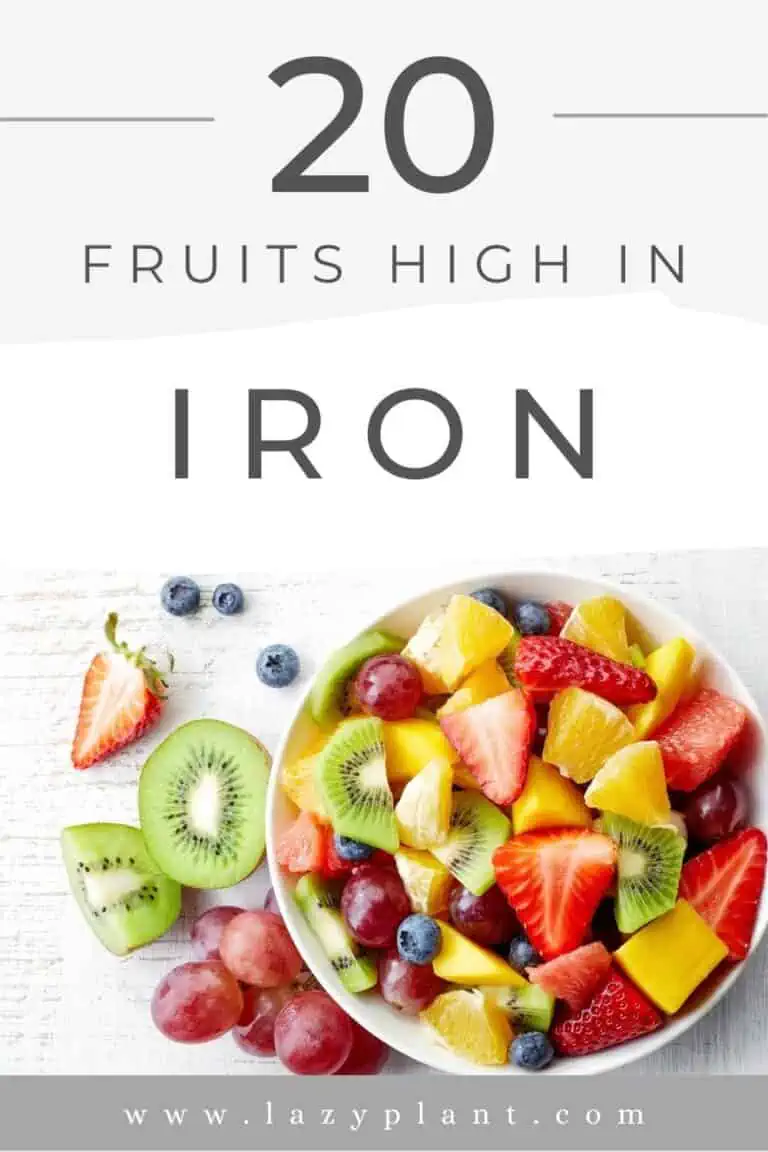 A list of Fruits & Berries rich in Iron - LazyPlant
