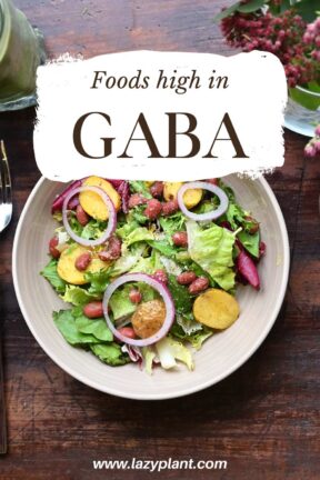 Foods high in GABA. - LazyPlant