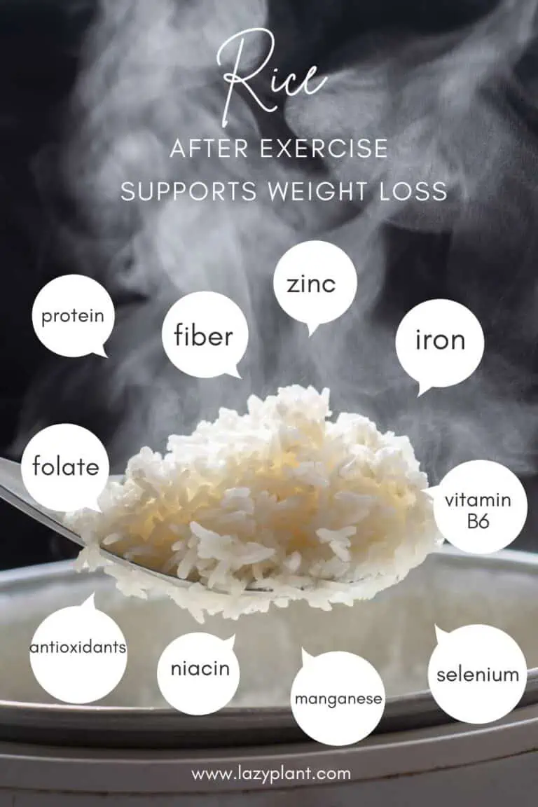 Rice for Weight Loss in the Mediterranean Diet