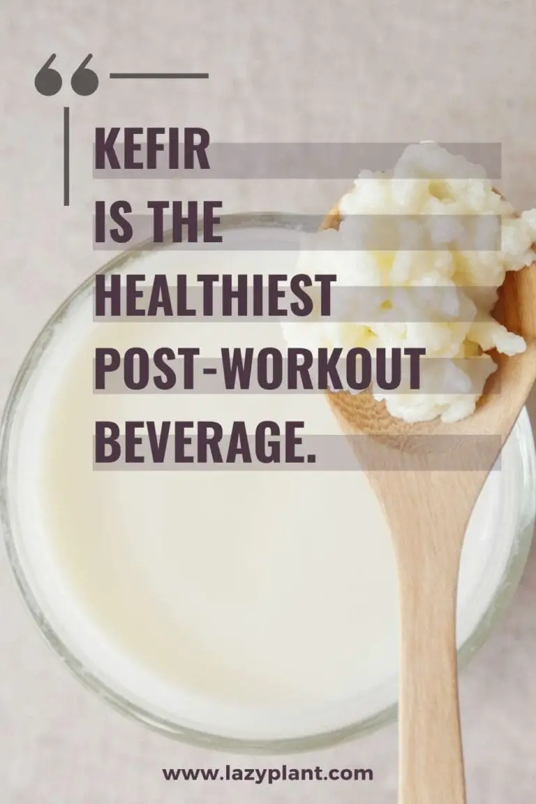 17+1 reasons why athletes should drink kefir after a workout - LazyPlant