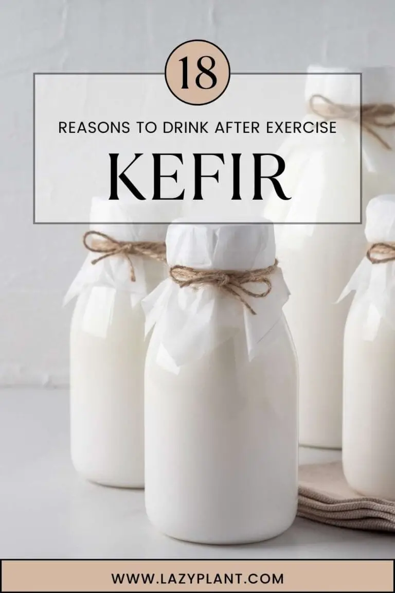 17+1 reasons why athletes should drink kefir after a workout - LazyPlant