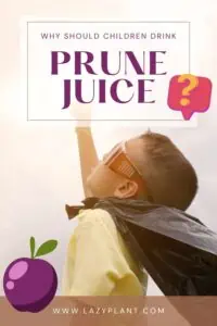 Benefits of prune juice for toddlers, kids & teens - LazyPlant
