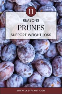 Benefits of prune & prune juice for weight loss - LazyPlant