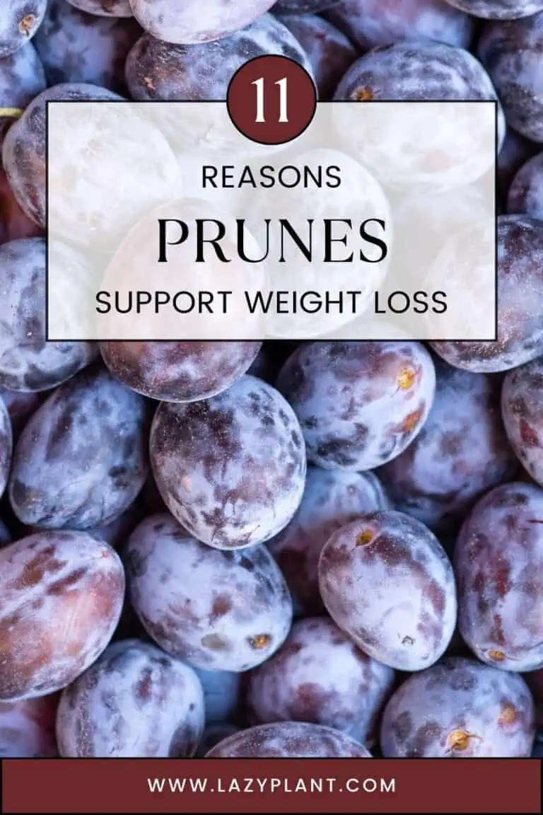 Benefits of prune & prune juice for weight loss - LazyPlant