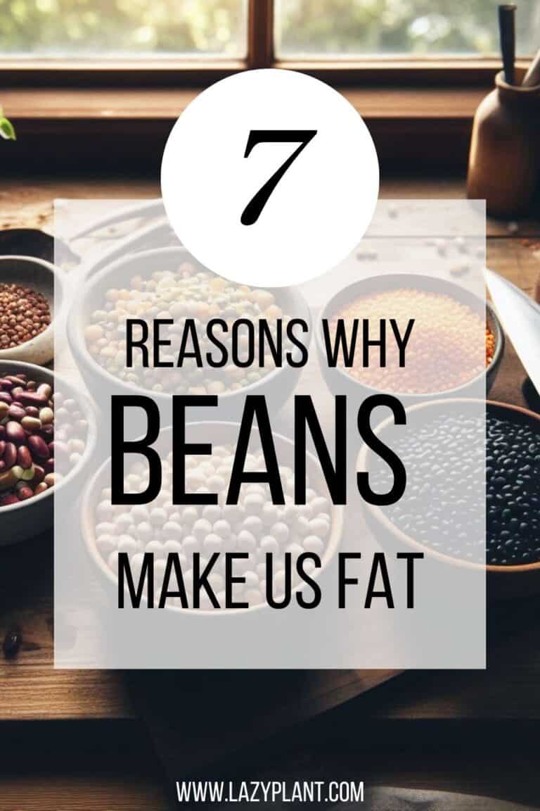 Do beans make you fat? - LazyPlant