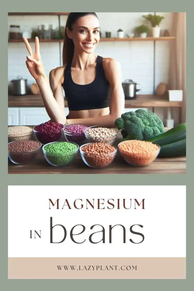 Which beans are rich in magnesium? - LazyPlant
