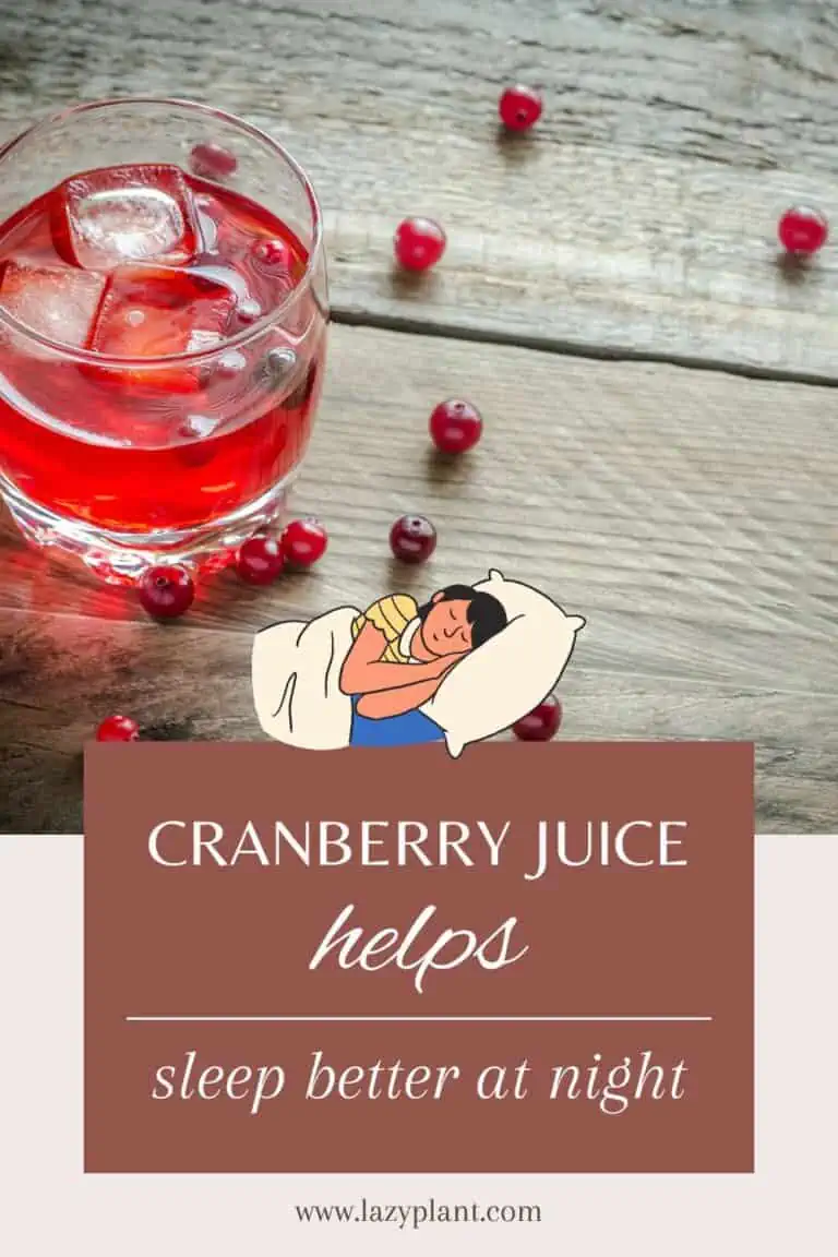 Cranberry juice before bed for a good night's sleep - LazyPlant