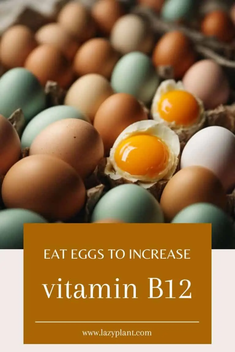 Eggs: the richest source of Vitamin B12? Myths you still believe ...