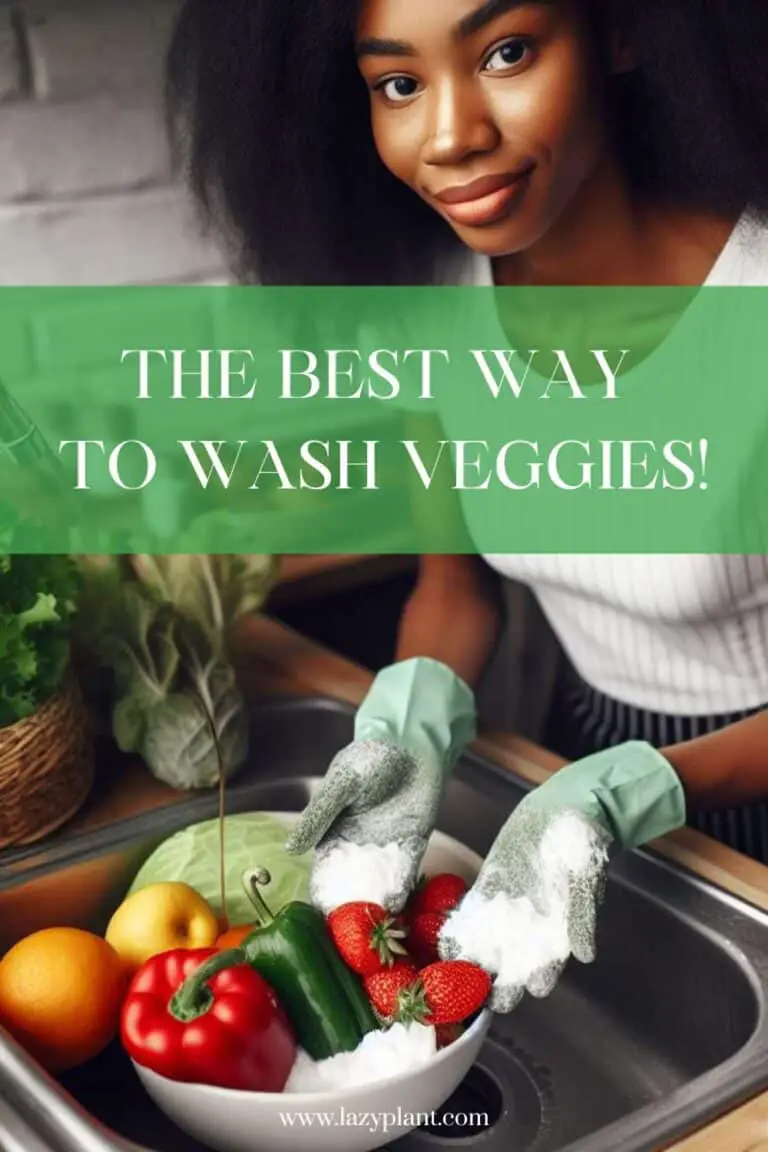How to wash vegetables & fruits to remove pesticide residues?