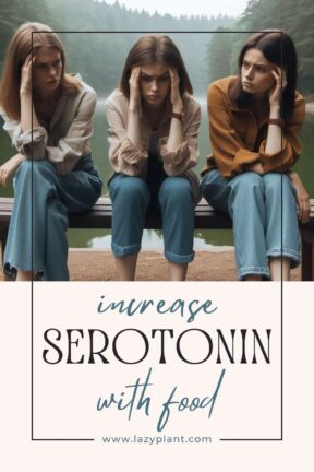 How to increase Serotonin naturally? - LazyPlant