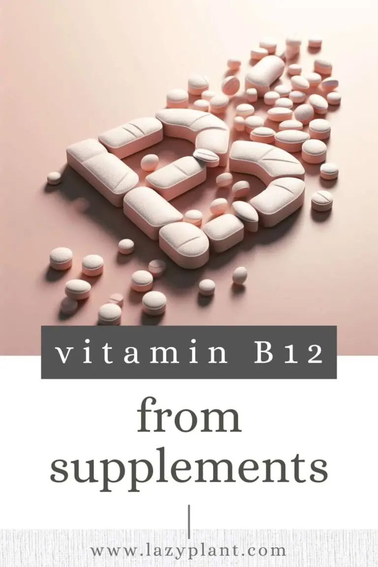 Is it safe to take 1,000 mcg of Vitamin B12 a day? - LazyPlant