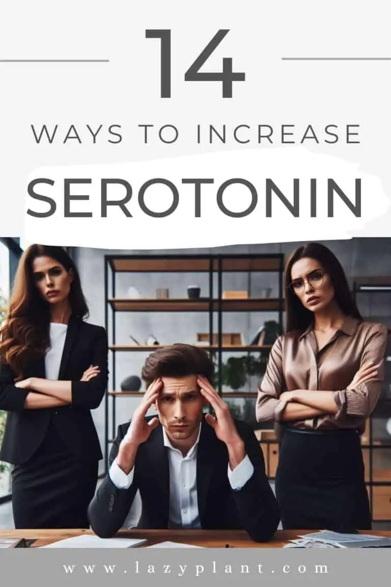 How to increase Serotonin naturally? - LazyPlant