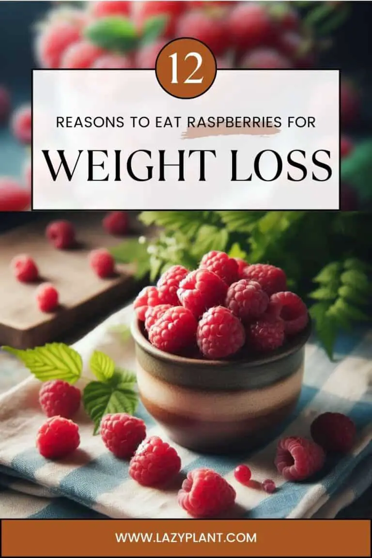 Raspberries for Weight Loss in the Mediterranean Diet - LazyPlant
