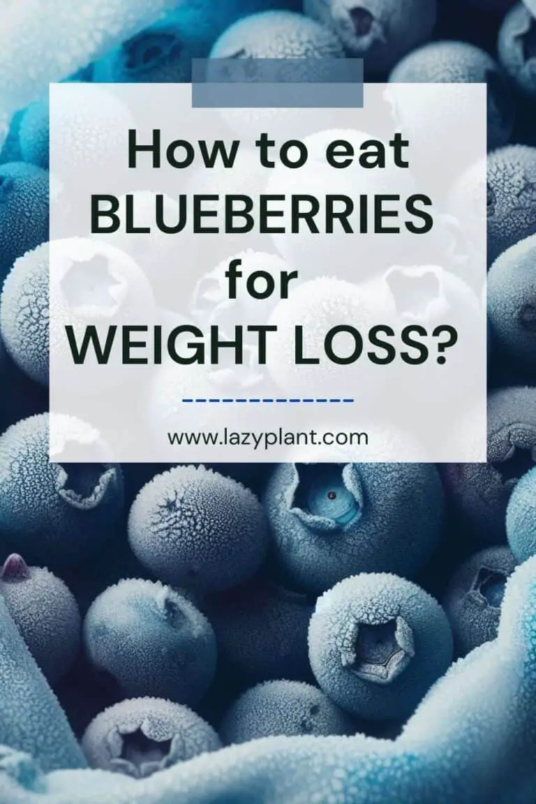 Blueberries for Weight Loss in the Mediterranean Diet - LazyPlant
