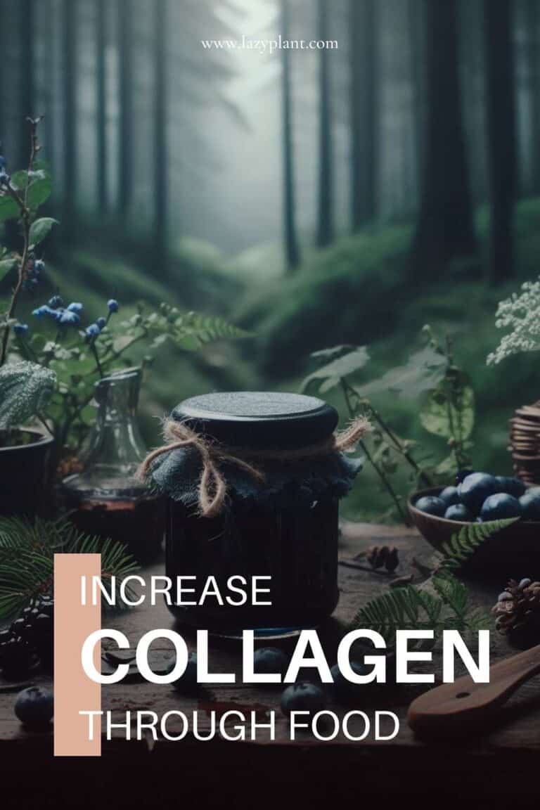 Foods that naturally increase collagen! - LazyPlant