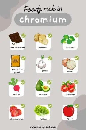 A list of the top 40 foods high in Chromium - LazyPlant