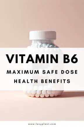 What's the maximum safe daily dose of vitamin B6? - LazyPlant