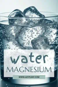 Water is a natural source of Magnesium! - LazyPlant