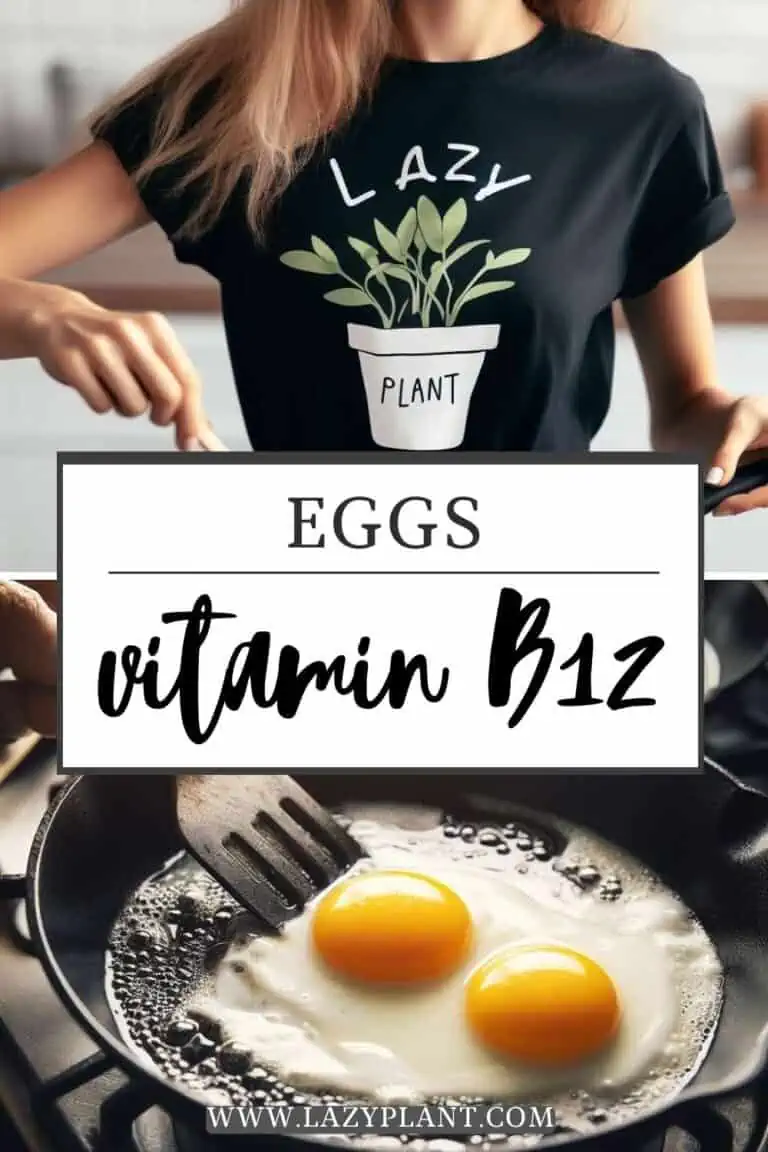 Eggs: the richest source of Vitamin B12? Myths you still believe ...