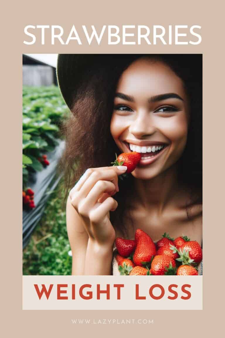 Strawberries: eat them Every Day for Weight Loss! - LazyPlant