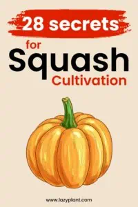 Squash: 27+1 Hacks to easily Grow this Survival Food - LazyPlant