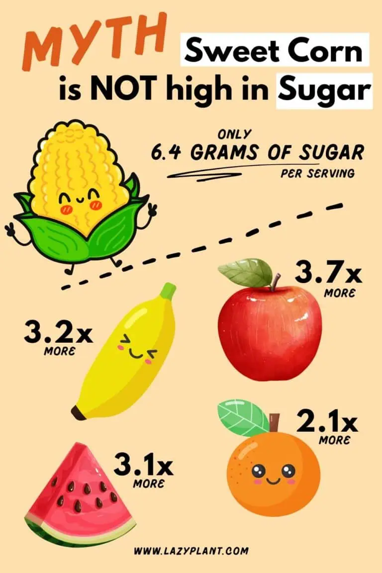 Corn: 24+1 Myths about Weight Loss - LazyPlant