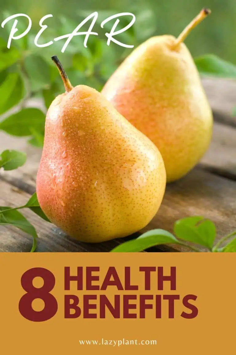 How to eat Pears to fit in the Mediterranean Diet? - LazyPlant