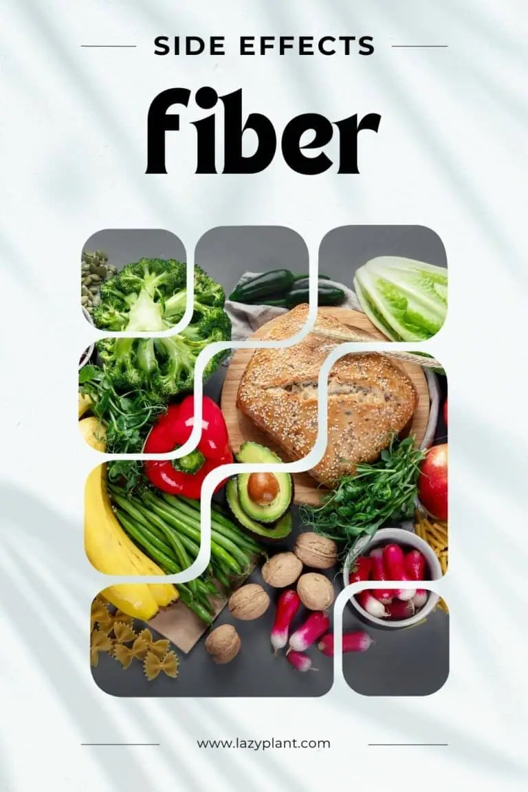 Fiber: Dangers & Side effects - LazyPlant