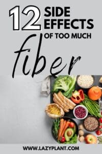 Fiber: Dangers & Side effects - LazyPlant